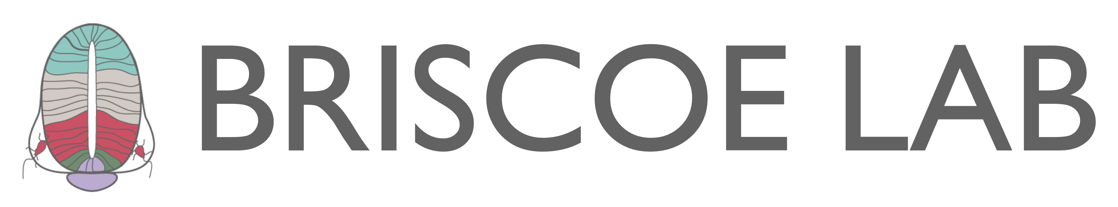 Contents | Briscoe-Wiki